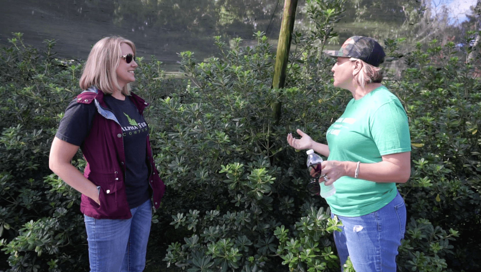 Alpha Fern - Floral Greens of Florida Coop