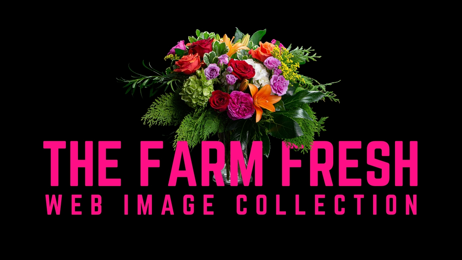 Farm Fresh Web Image Program - 2022 - Floral Greens of Florida Coop